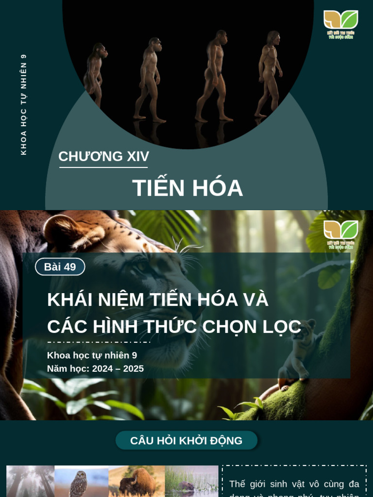 KHTN.49 KHAI NIaM TIsN HOA VA CAC HINH THiC CHGN LGC | PDF