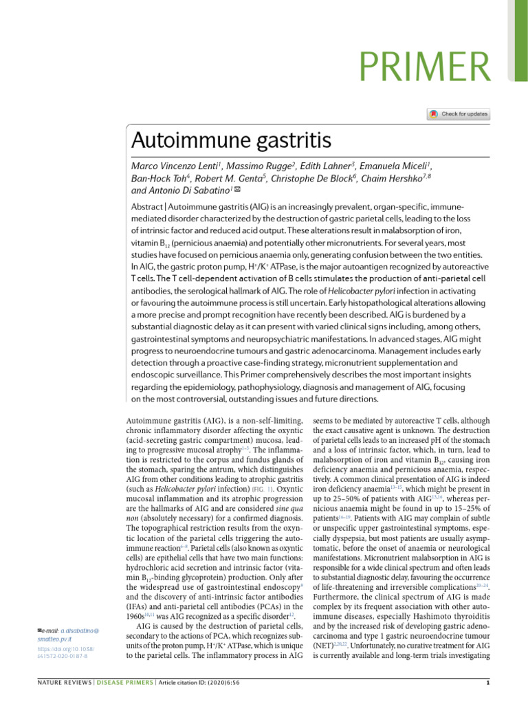 Autoimmune Gastritis | PDF | Stomach | Anemia