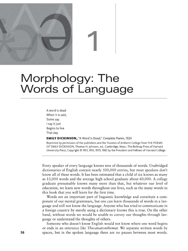 Unit 2 Morphology | PDF