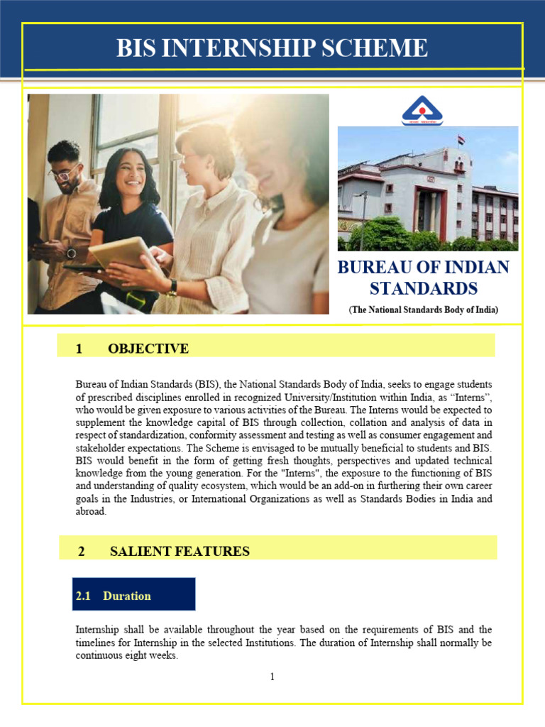 BIS Internship Program Overview | PDF | Internship | Job Hunting