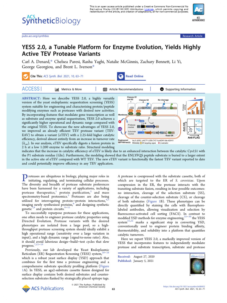 YESS 2.0, a Tunable Platform for Enzyme Evolution, Yields Highly Active ...