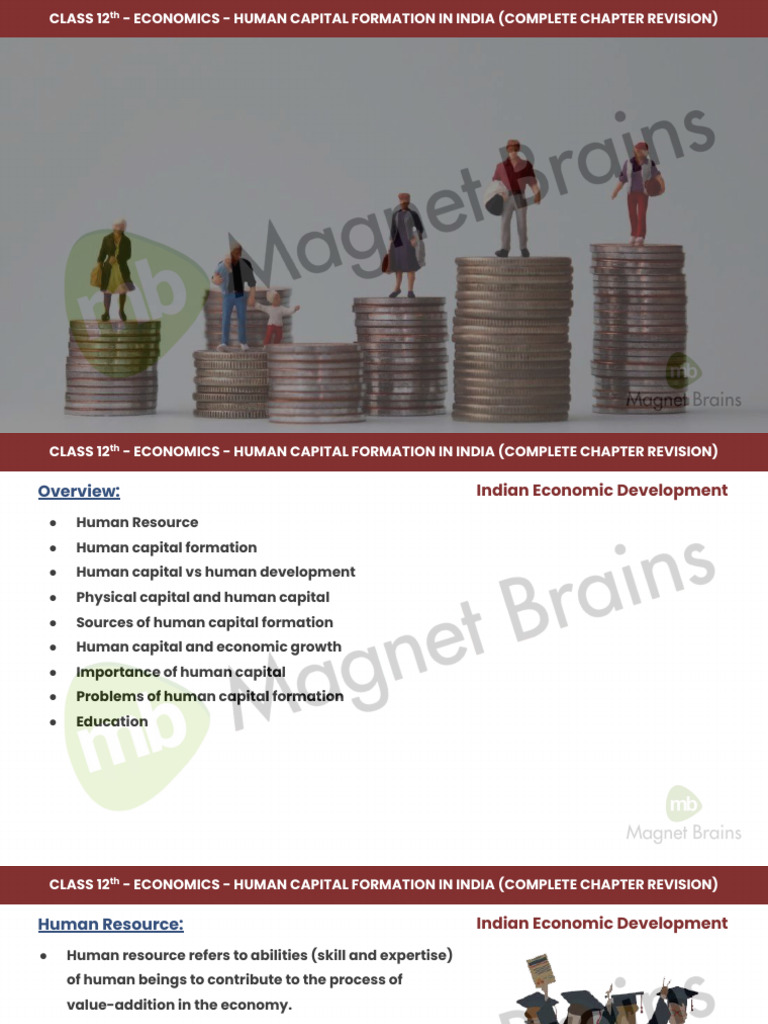 12th - Chapter 5 - Human Capital Formation - Full Chapter Explainations ...