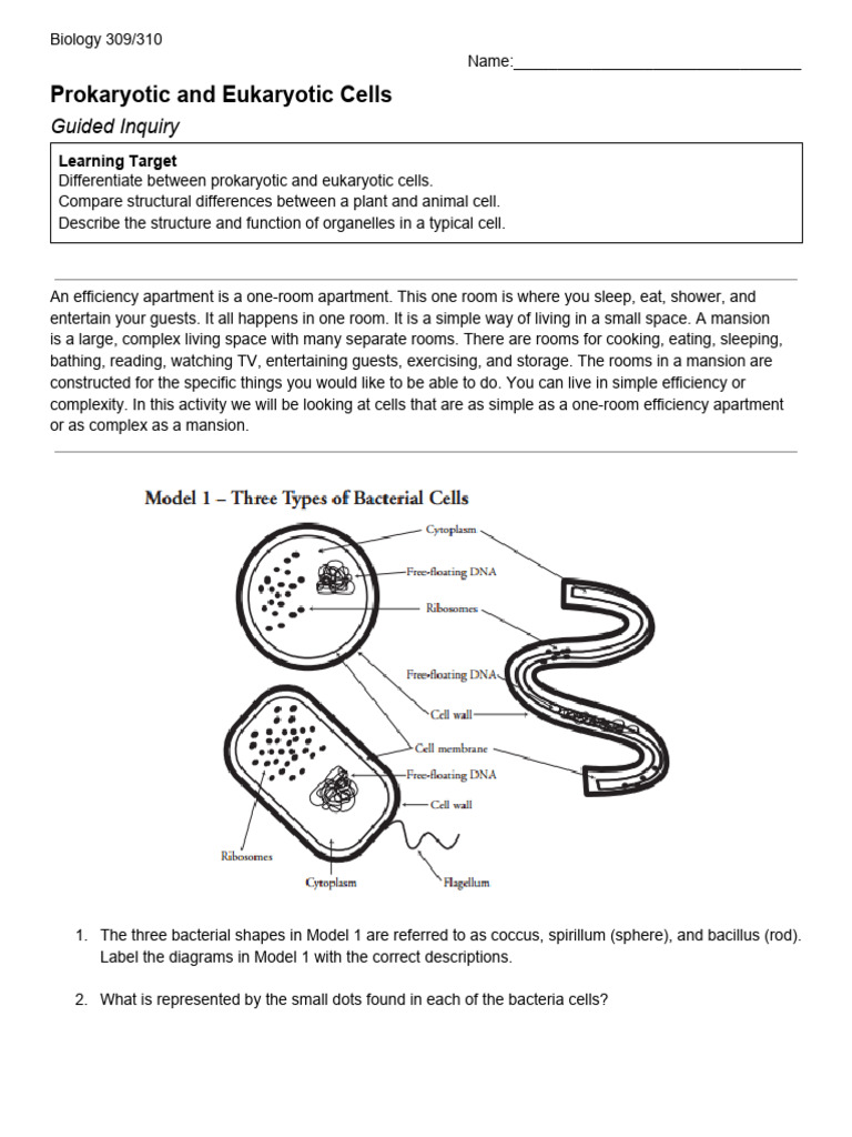 Pogil Prokaryoticandeukaryoticcells | PDF | Cell (Biology) | Prokaryote