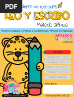 Lectoescritura Primaria MSTLRP | PDF | Escritura | Aprendizaje