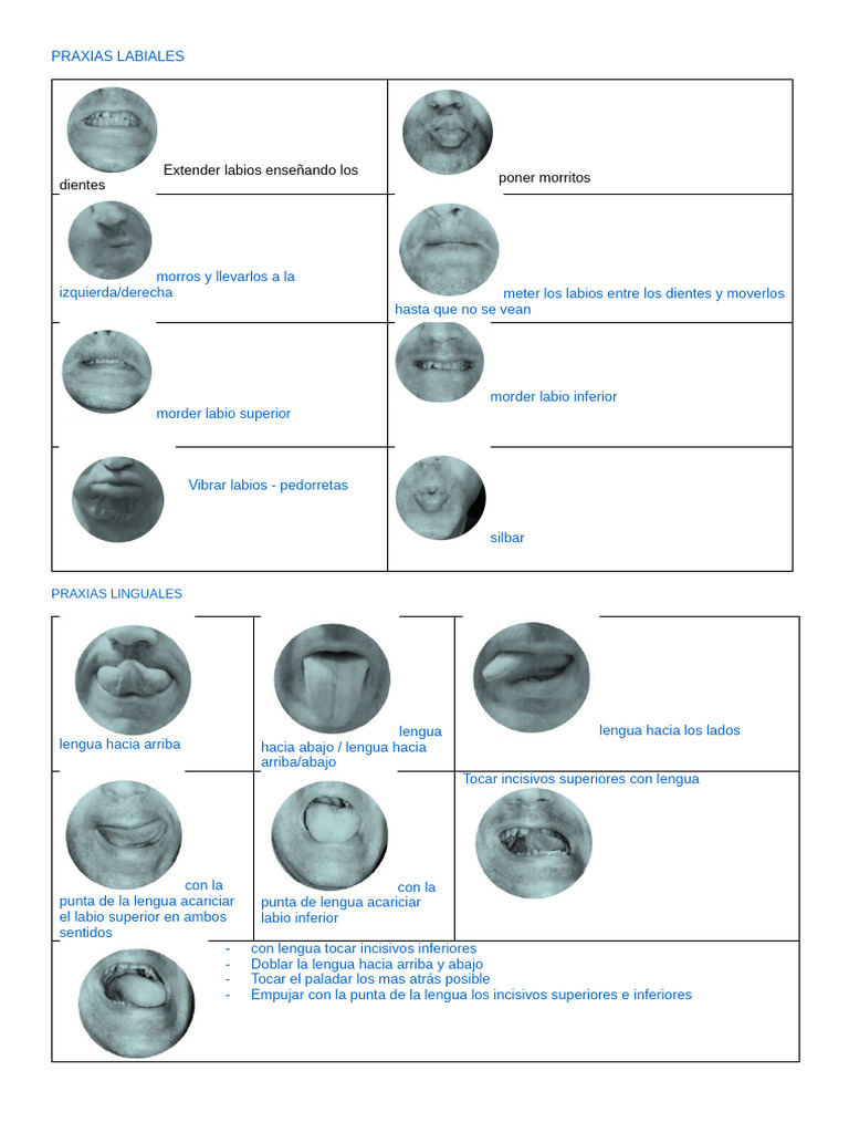 Praxias Labiales | PDF