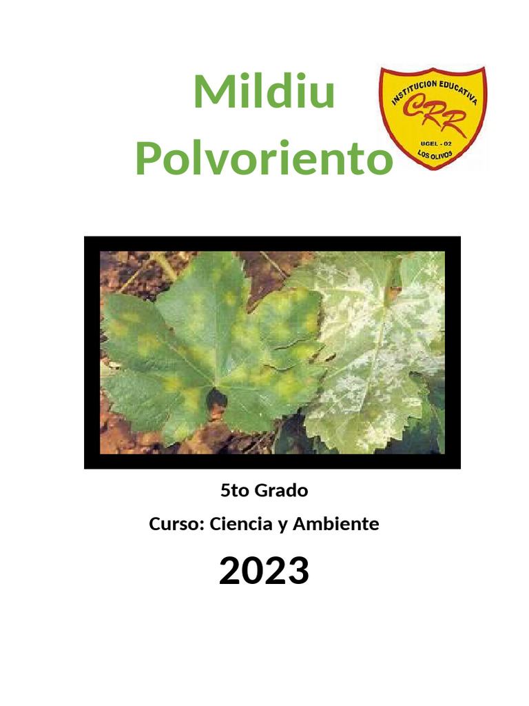 Impresion Christopher | PDF