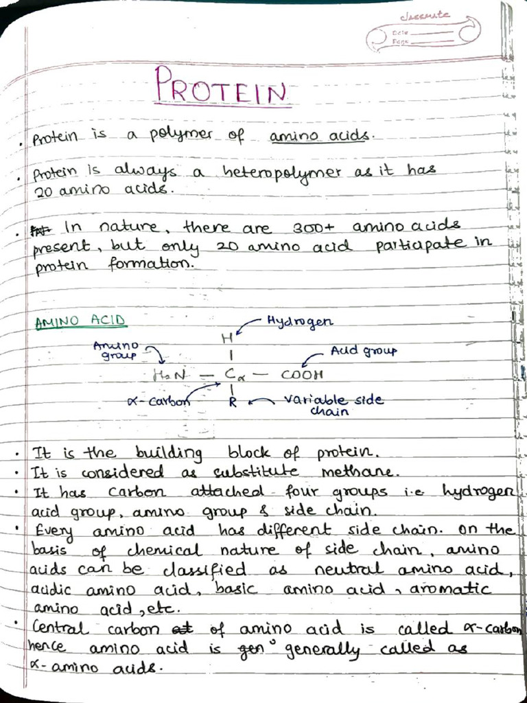 Biomolecules Protein | PDF