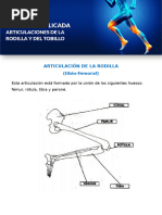 Articulación Coxofemoral | PDF | Rodilla | Anatomía