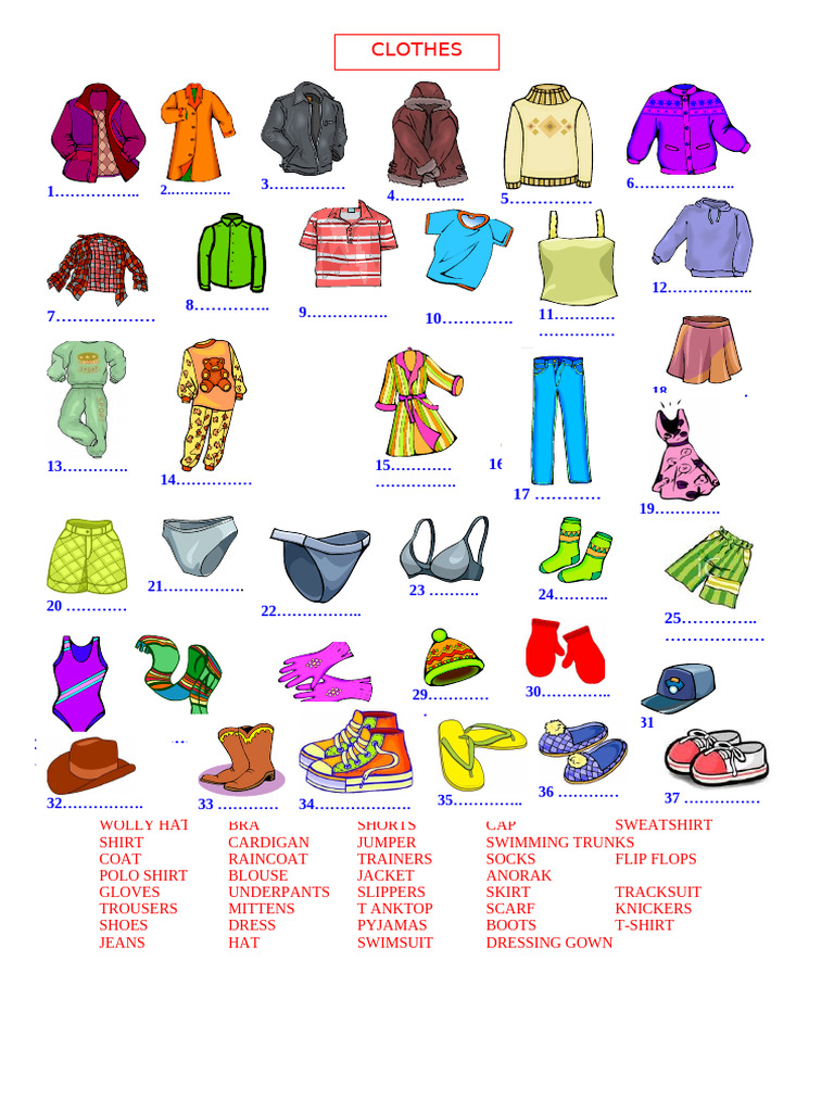 Name Each Piece of Clothing | PDF