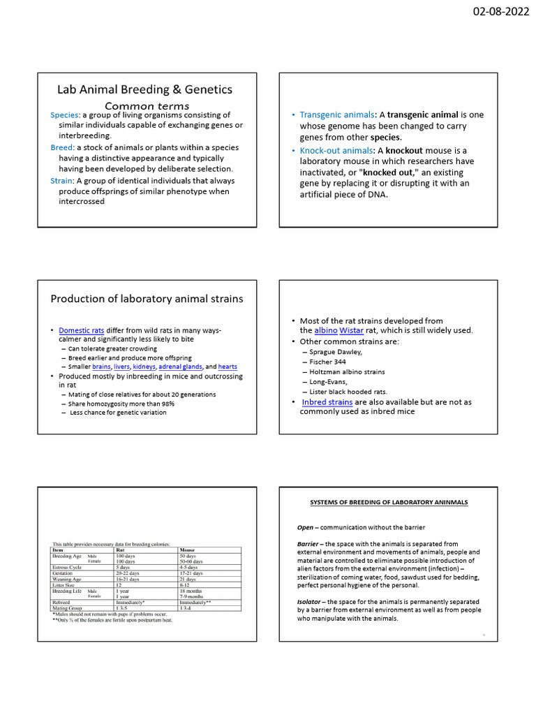 Lab Animal Breeding and Genetics | PDF | Laboratory Rat | Inbreeding