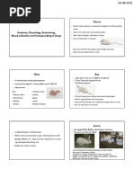 Rabbit Intramuscular Injection Guide | PDF | Injection (Medicine ...