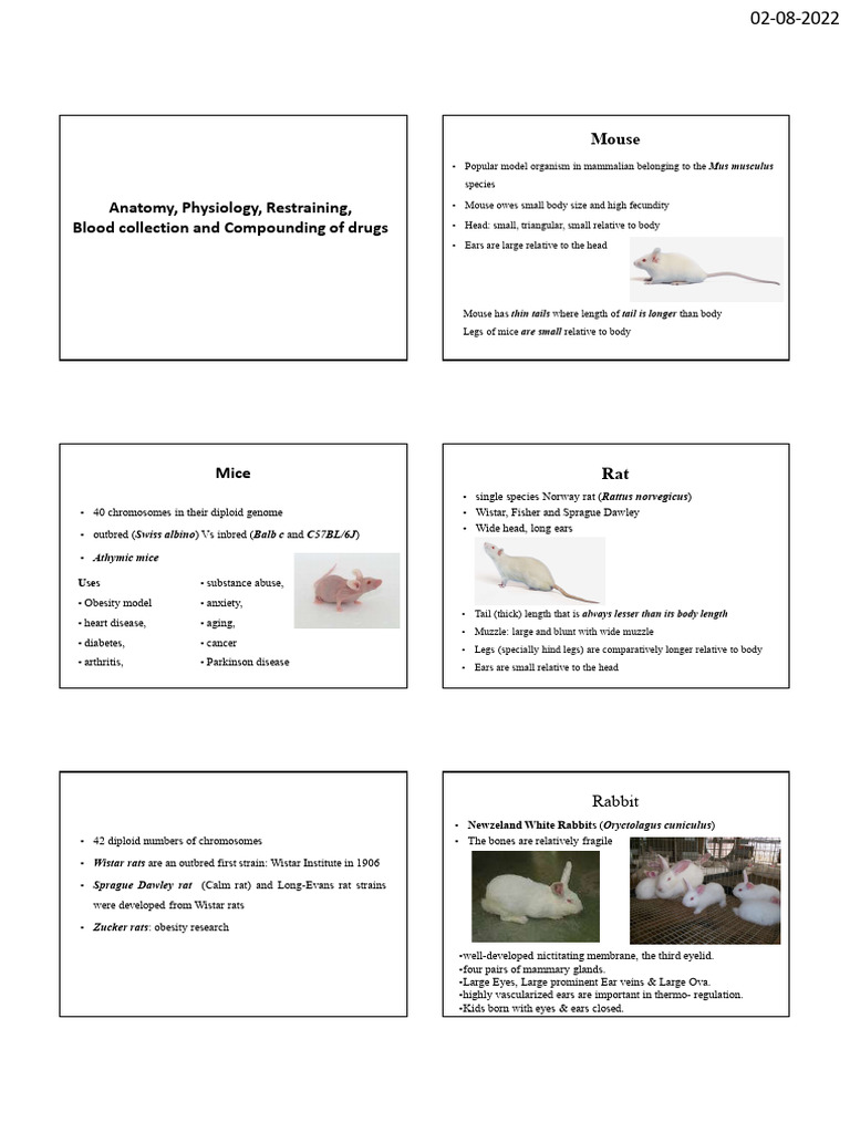 Anatomy, Physiology, Restraining, Blood Collection | PDF | Laboratory ...