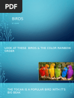 One Leg Bird Meme - Google Search | PDF