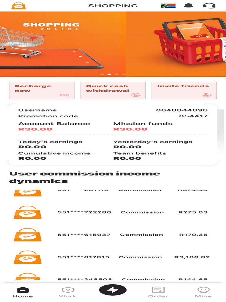 Shopping | PDF
