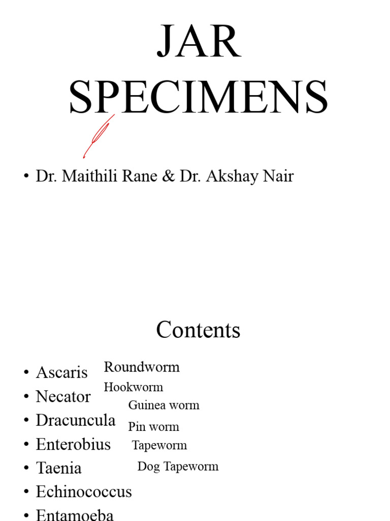 JAR SPECIMENS | PDF