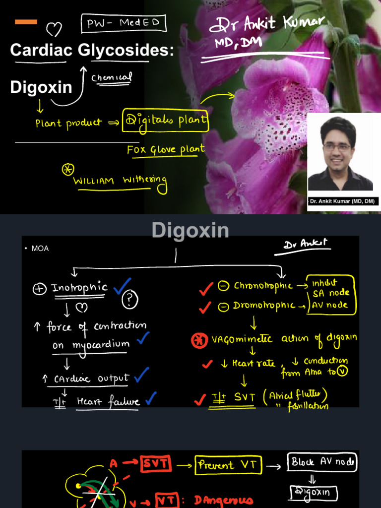 Digoxin: Uses, Effects, and Interactions | PDF | Cardiovascular ...