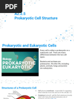 Prokaryotic Cells Revision Notes - A-Level Biology CIE - Cognito | PDF