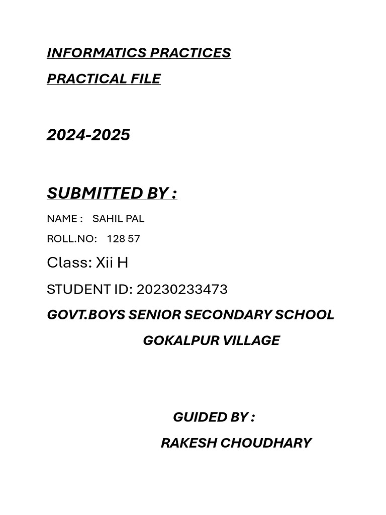 Informatics Practices Practical File 2024 | PDF