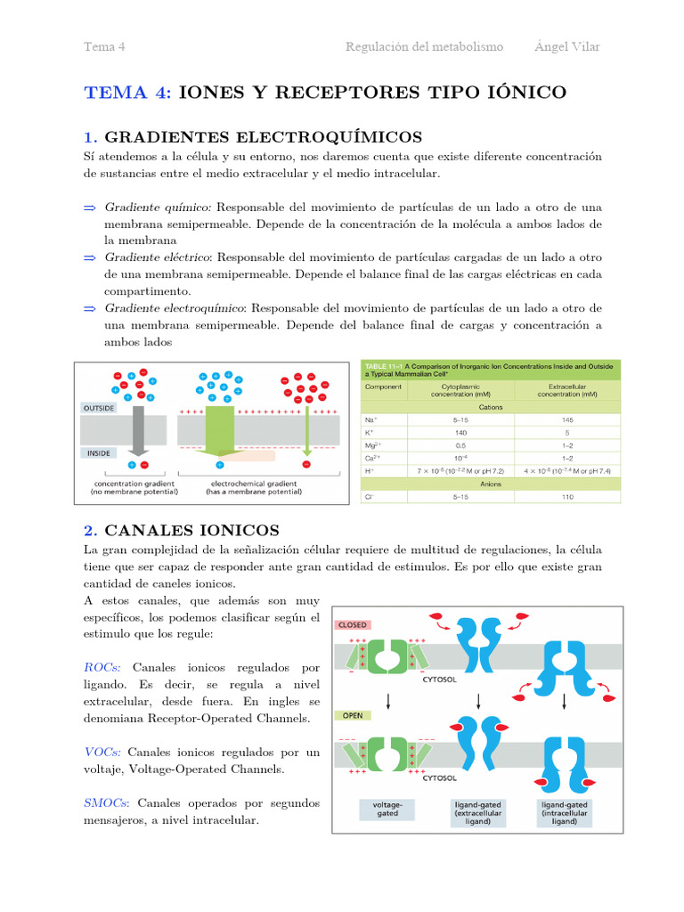 T4. Iones y Receptores Tipo Iónico | PDF | Receptor (Bioquímica) | Canal de iones