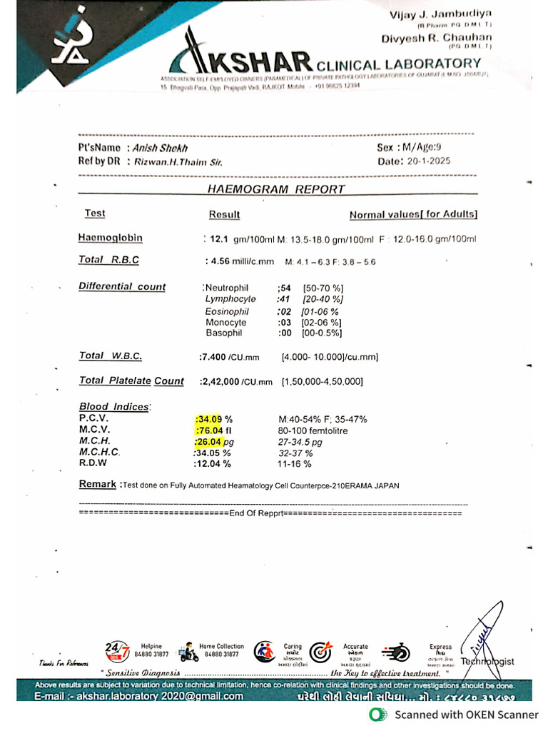 Anish Shekh 20-1-2025 | PDF