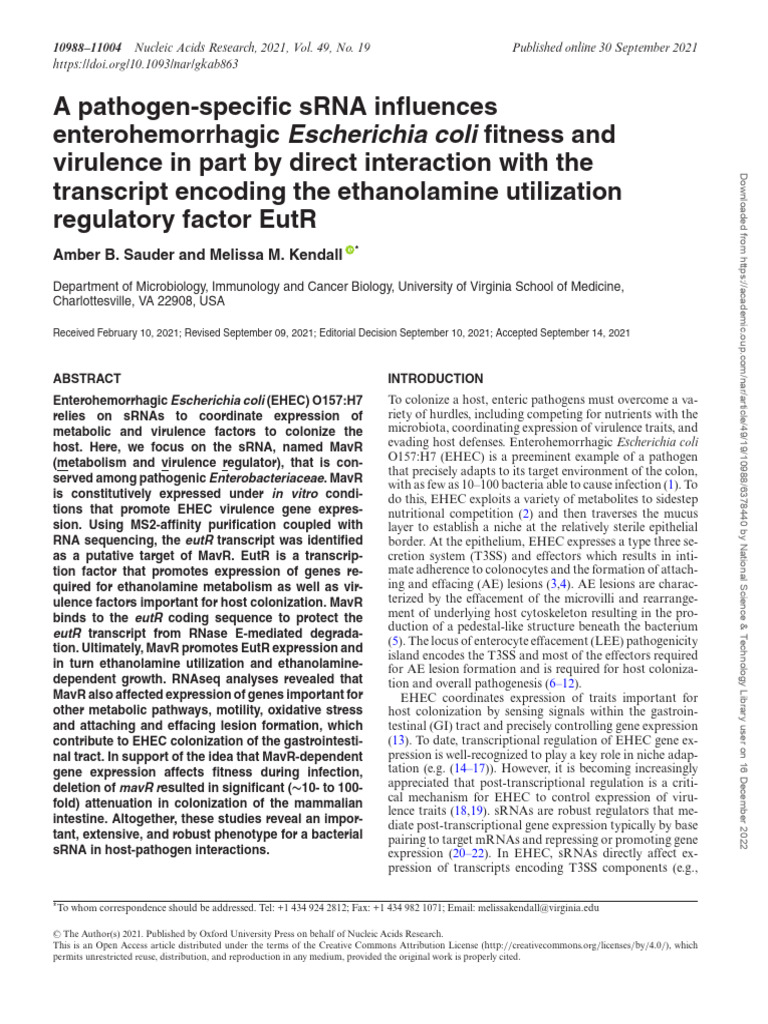 MavR sRNA Enhances EHEC Virulence | PDF | Gene Expression | Gene