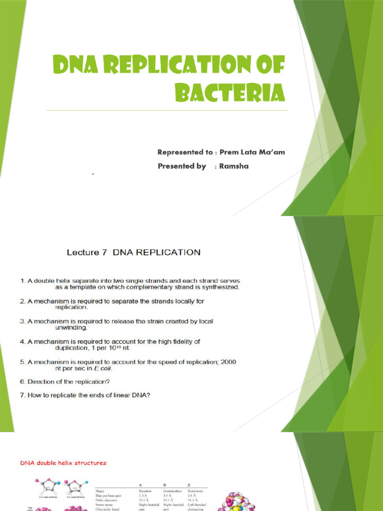 DNA Replication of Bacteria | PDF