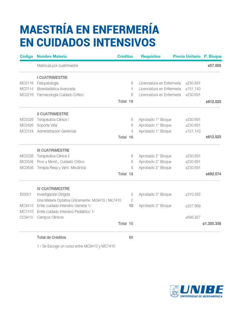 Plan Estudio Maestria Enfermeria en Cuidados Intensivos | PDF