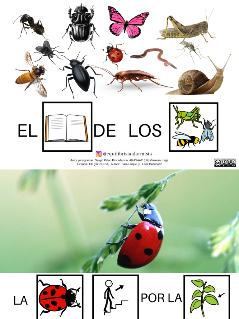 Pictogramas de Sergio Palao | PDF