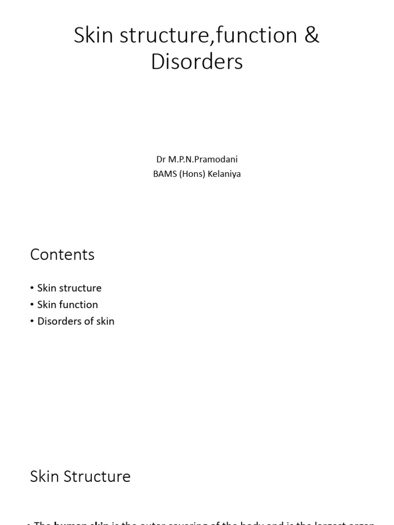 Skin Structure,Function & Disorders | PDF | Epidermis | Skin