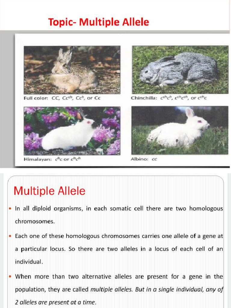 22.multiple Allelism and Linkage-1 | PDF