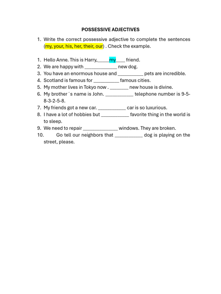 Possessive Adjectives Practice | PDF