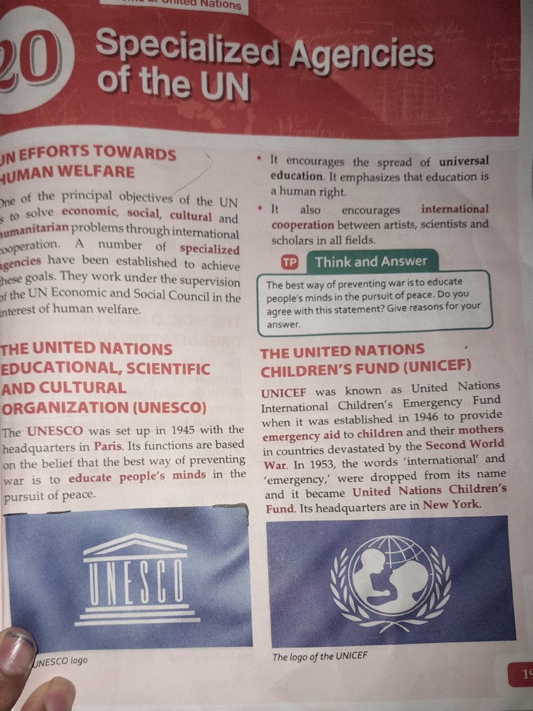 UN Specialized Agencies for Human Welfare | PDF | World Health ...