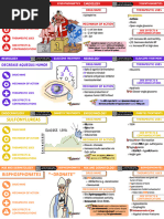 Pixorize: Antibiotics Overview | PDF | Penicillin | Estrogen