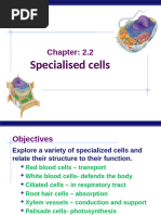 Eukaryotic Cells - Plant, Algal & Fungal Cells Revision Notes - A-Level ...