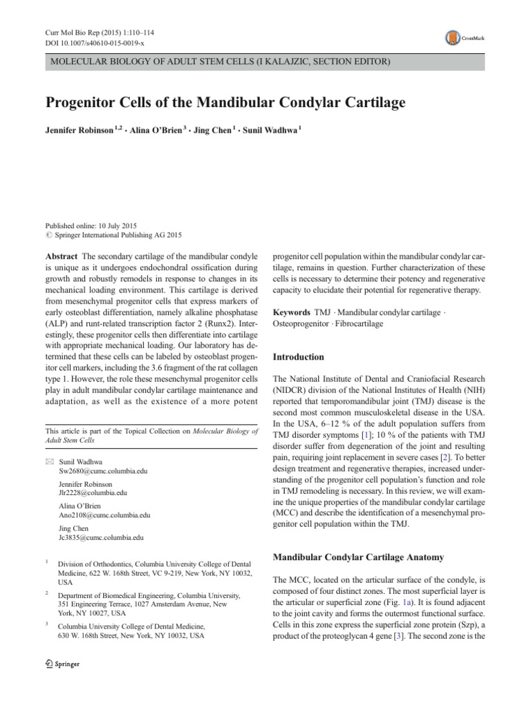 Progenitor Cells of The Mandibular Condylar Cartilage | PDF ...