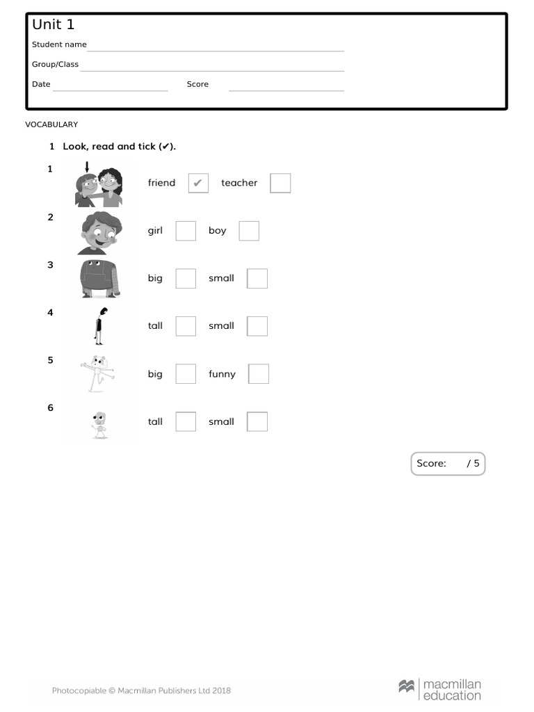 Vocabulary and Grammar Quiz | PDF