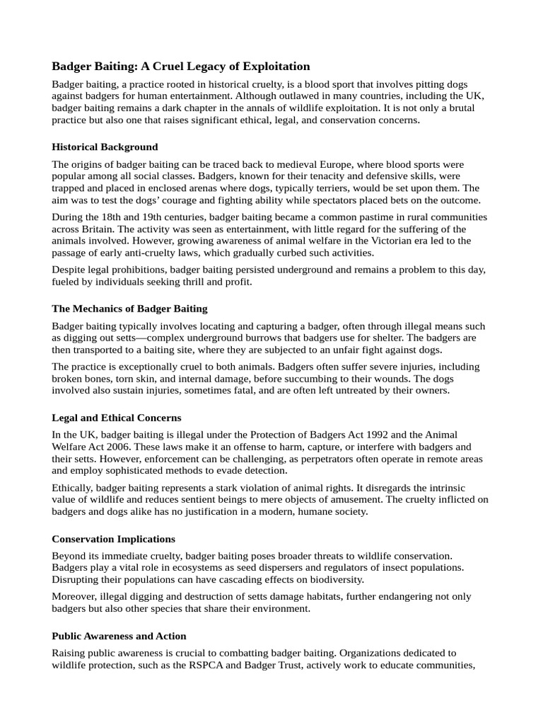 Understanding Badger Baiting Practices | PDF