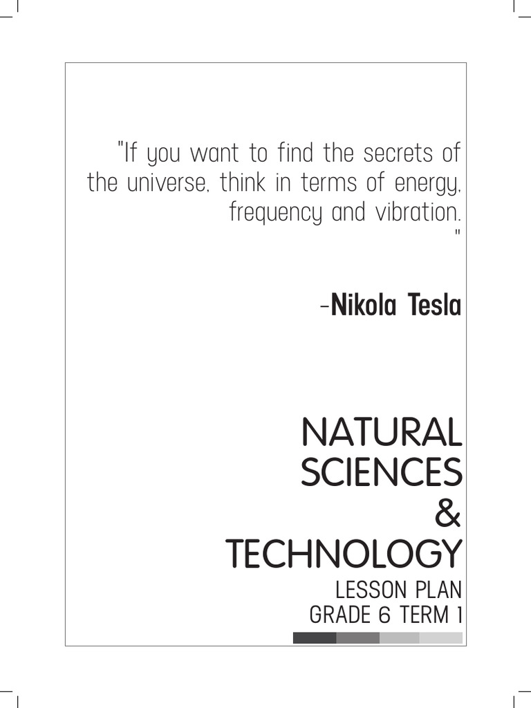 GR 6 Term 1 2018 NST Lesson Plan - 091910 | PDF | Educational Assessment | Classroom