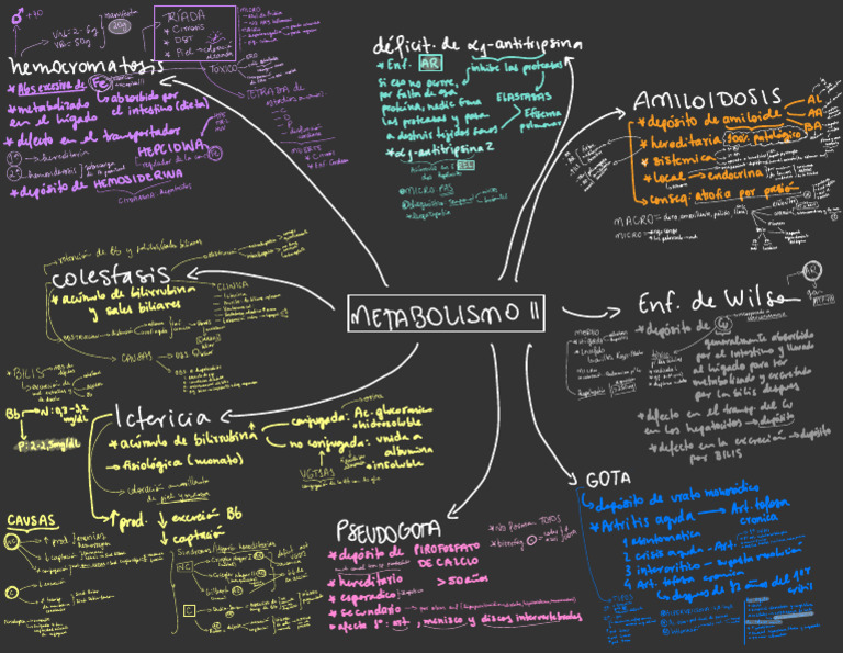 Amilidosis | PDF
