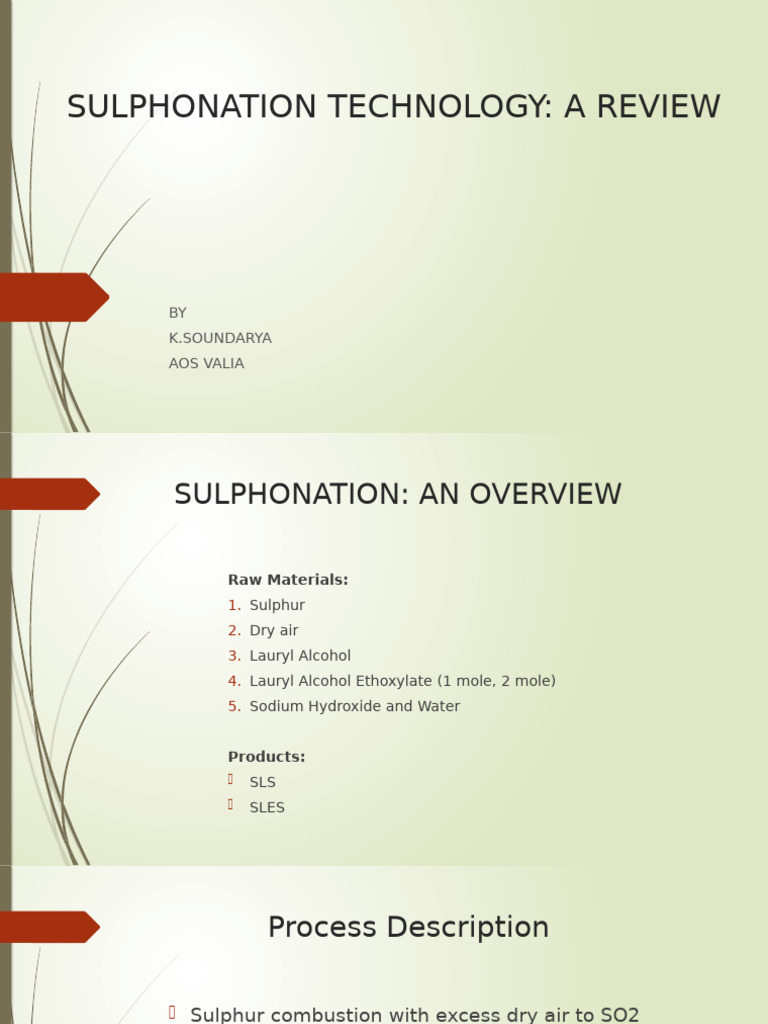 Sulphonation Review | PDF