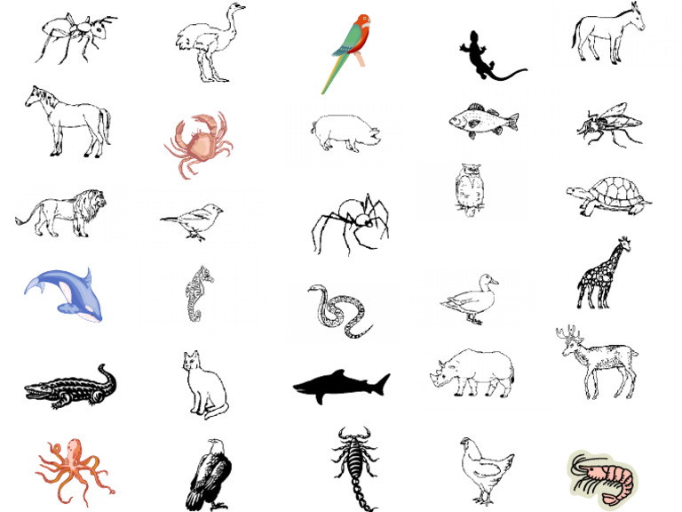 BANFE-Lamina-Clasificacion-Semantica | PDF