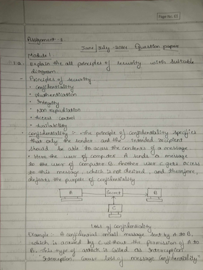 NS Assignment 1 | PDF