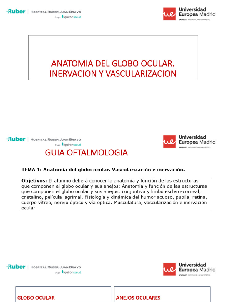 Anatomía y Función del Globo Ocular | PDF | Córnea | Ojo