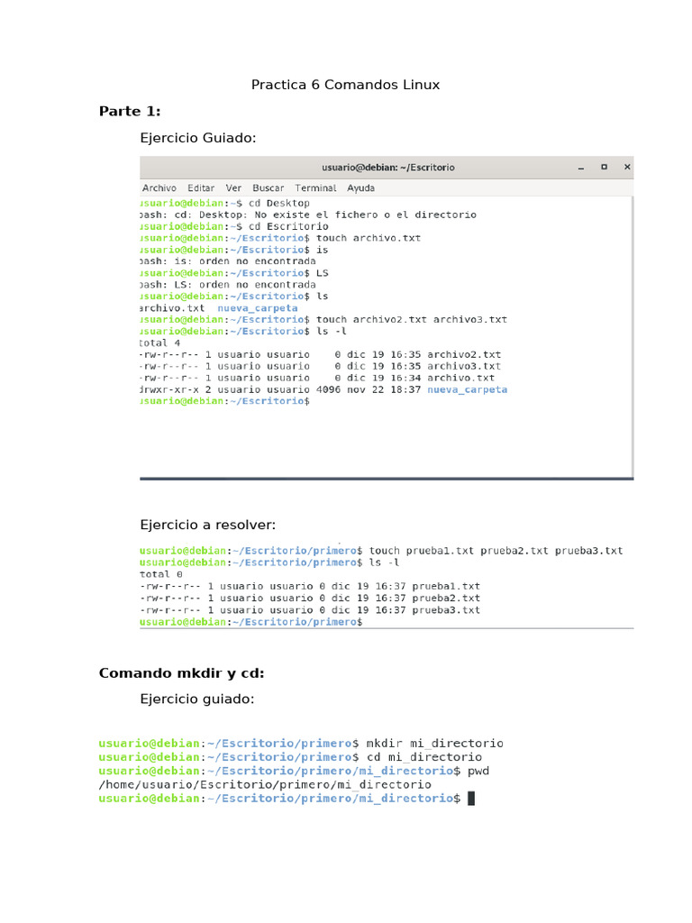 Práctica de Comandos Linux Básicos | PDF
