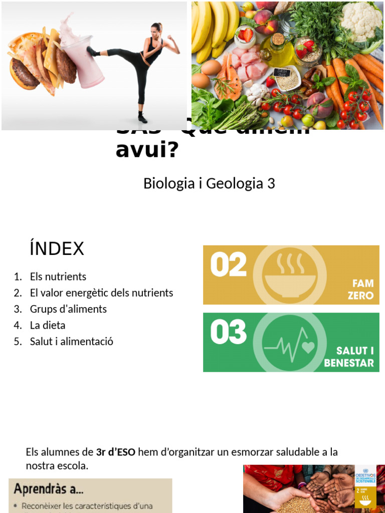 SA3 - Què Dinem Avui | PDF