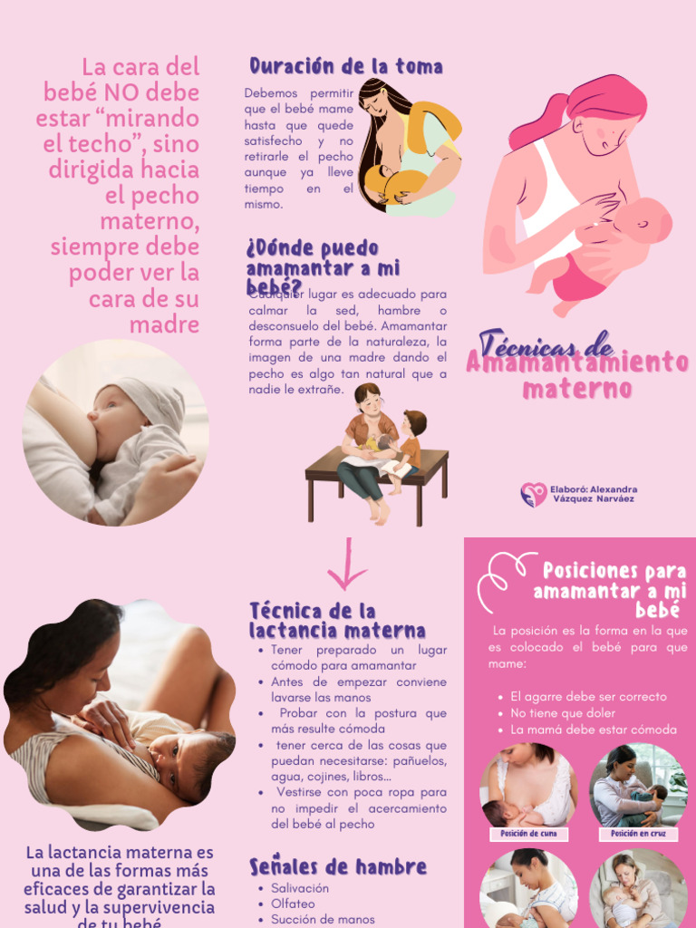 Tríptico Lactancia Materna Técnica Pdf Amamantamiento Pecho