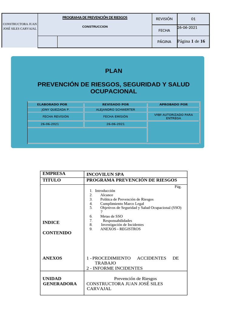 Programa de Prevencion de Riesgos | PDF | Seguridad y salud ocupacional | Valores