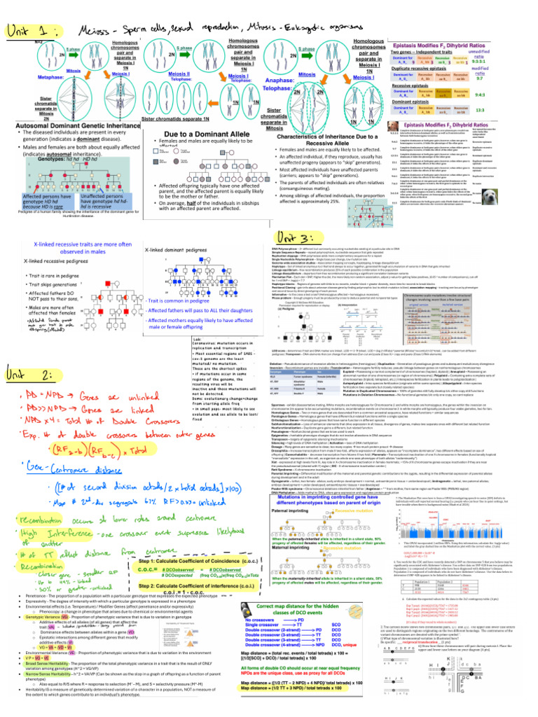 Final Exam Cheat Sheet | PDF