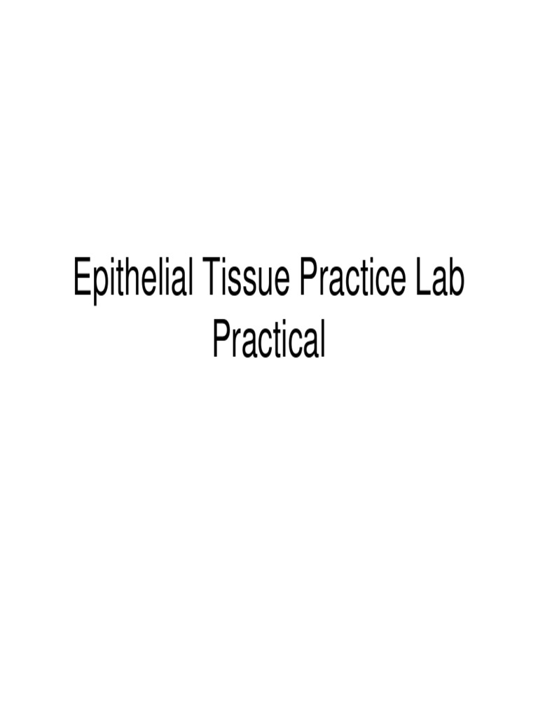Epithelial Practical Practice | PDF