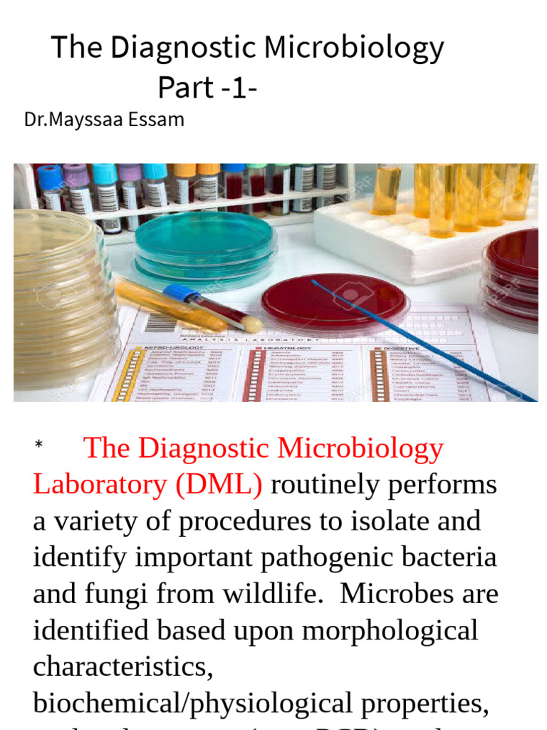 Dignostic Mcb Updated | PDF | Infection | Microbiology